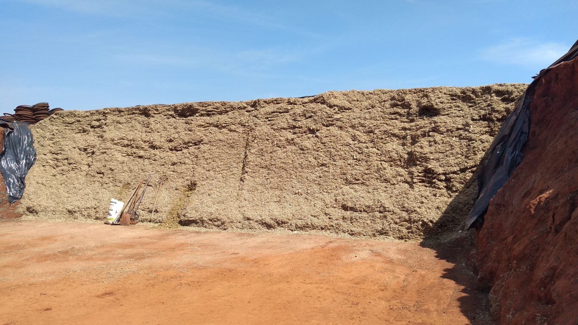 Processo de ensilagem: o que precisamos saber e como fazer?