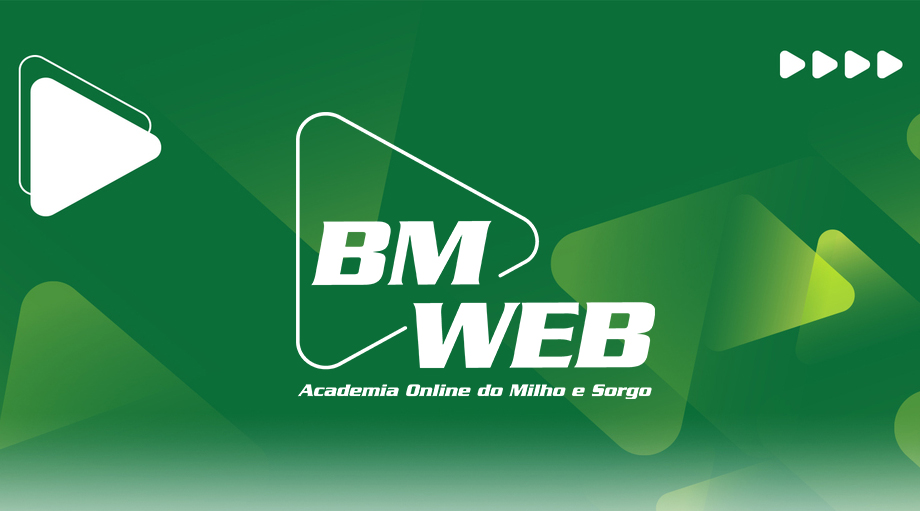 Arquivos Sementes - BM Web