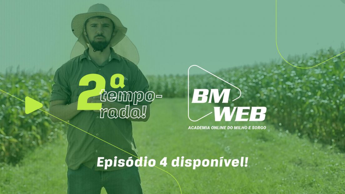 Arquivos Sementes - BM Web